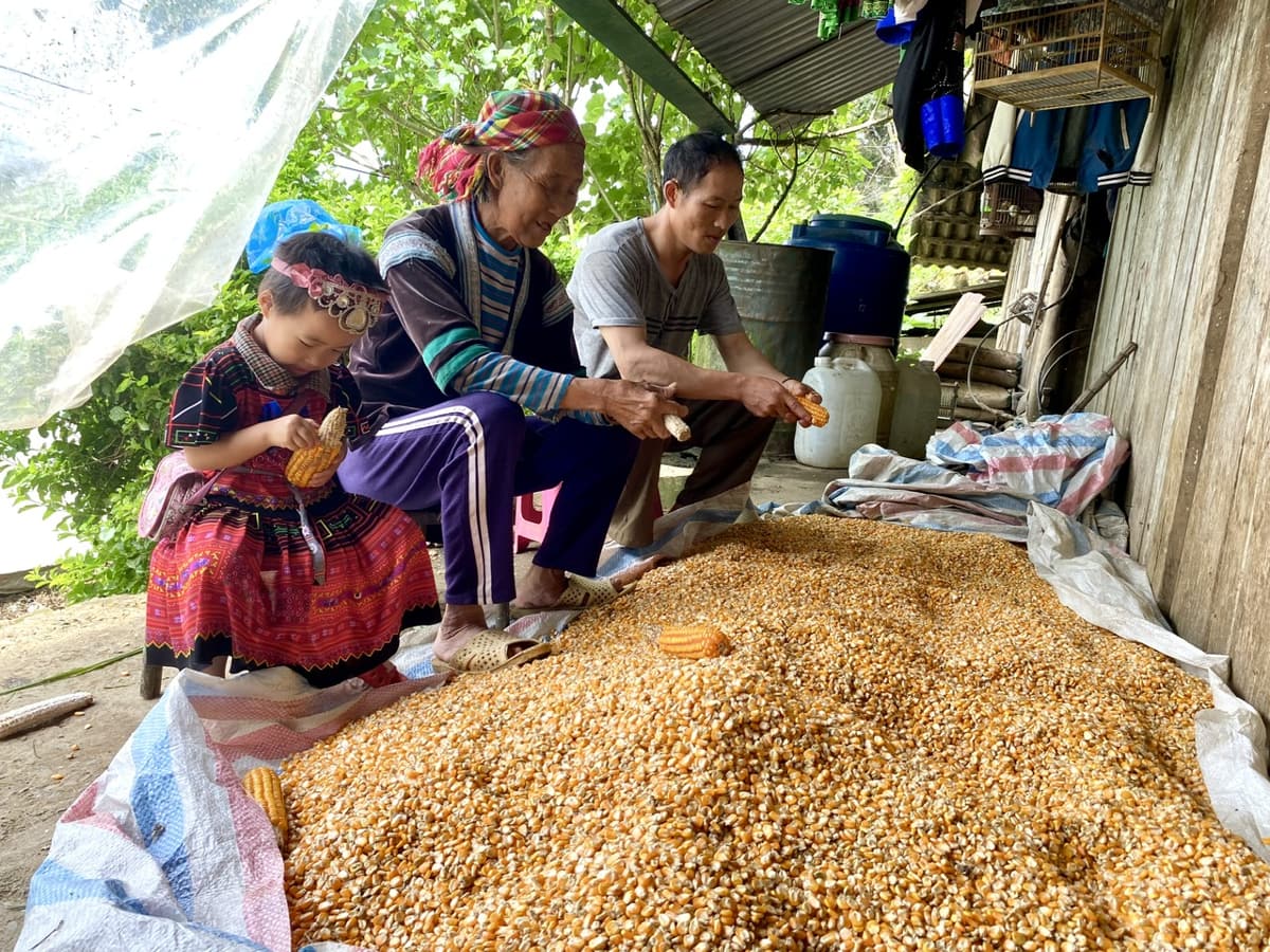 Xây dựng nếp sống văn minh trong đồng bào các dân tộc xã Mù Sang | Báo ...